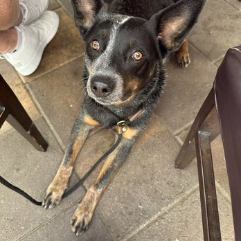 THE PATIO AT CHILLY JILLY’Z - Updated May 2025 - 92 Photos & 84 Reviews ...