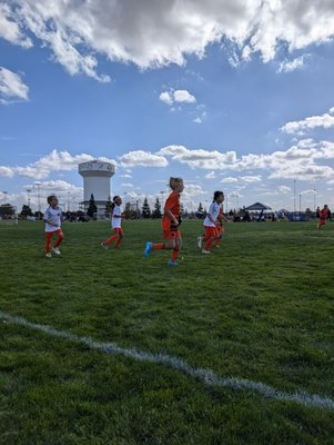 MISTLIN SPORTS PARK - Updated December 2025 - 88 Photos & 79 Reviews ...