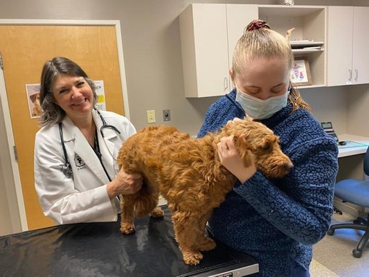 PATTON VETERINARY HOSPITAL - Updated April 2025 - 27 Photos & 37 ...