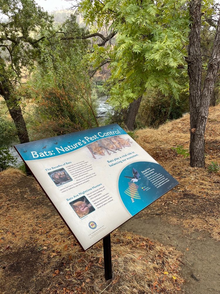 LAKE SOLANO COUNTY PARK AND CAMPGROUND - Updated May 2025 - 125 Photos ...