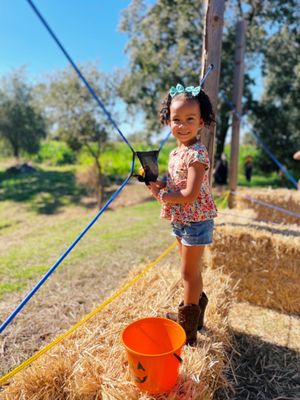 LITTLE FIELD FARMS - Updated January 2026 - 31 Photos & 16 Real Reviews ...