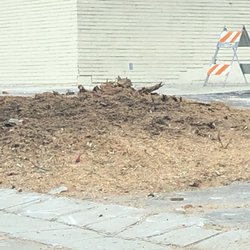 WOLFER LANDSCAPE SERVICES - 36 Photos - 5371 SW 58th Ave, Davie ...