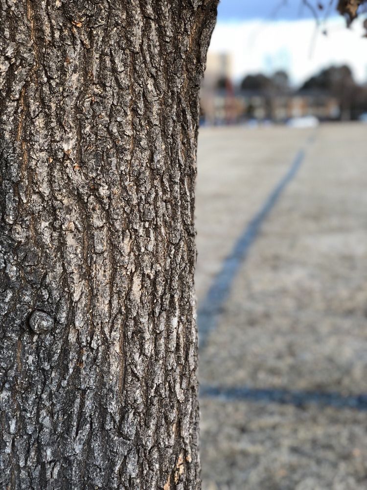 FRANCES WISEBART JACOBS PARK - Updated May 2025 - 12 Photos - 1069 S ...