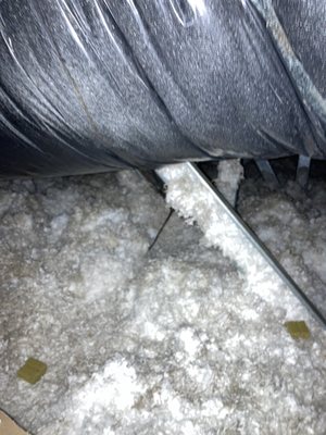 PRO ACTIVE PEST CONTROL - Updated April 2025 - 29 Photos & 209 Reviews ...