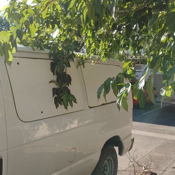 GUD COMMUNITY MANAGEMENT - Updated December 2025 - 91 Reviews - Mesa ...