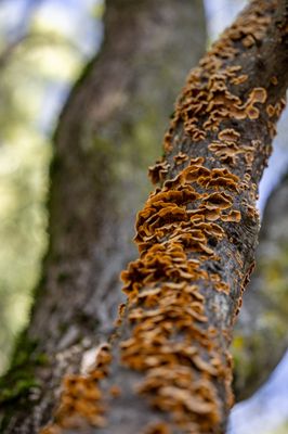 LAKE ANZA - Updated December 2025 - 276 Photos & 102 Reviews - Lake ...