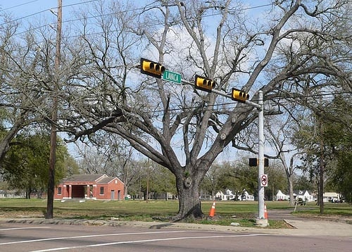ALICE KEITH PARK - Updated July 2025 - 4050 Reed, Beaumont, Texas ...