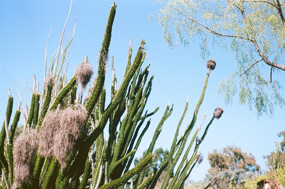 BERRY FLASH PHOTO LAB - Updated December 2025 - 11 Photos & 10 Reviews ...