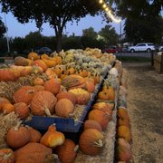 VISTA RANCH AND CELLARS - 137 Photos & 58 Reviews - Venues & Event ...