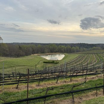 TRATTORIA DI MONTALUCE - Updated August 2024 - 117 Photos & 77 Reviews ...