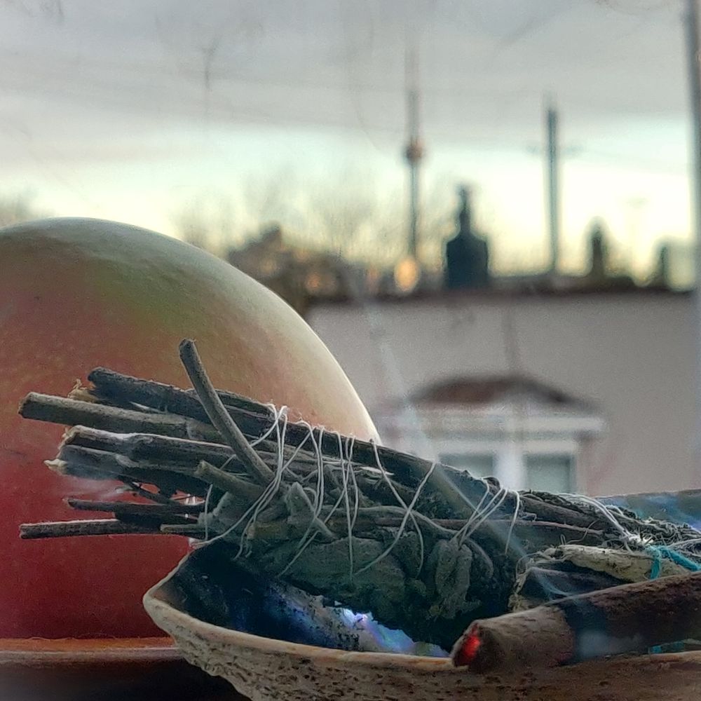 HEALING MANGO - Updated December 2024 - Toronto, Ontario - Naturopathic ...