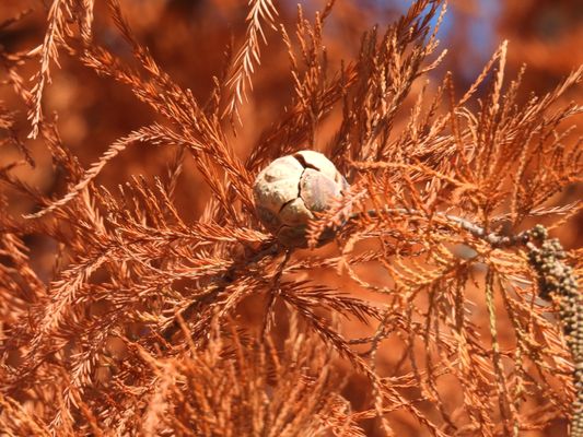 BILL YECK PARK - Updated December 2025 - 135 Photos & 12 Reviews - 2230 ...