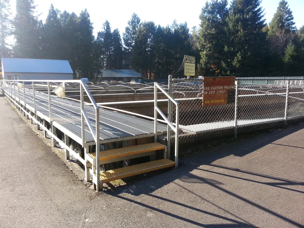 WILLAMETTE FISH HATCHERY - 16 Photos - 76389 Fish Hatchery Rd, Oakridge ...