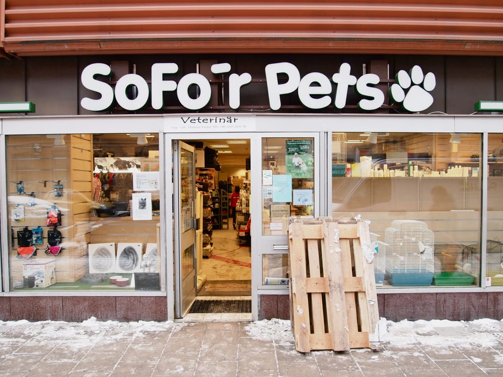 SOFO’R PETS - Updated July 2025 - Östgötagatan 26, Stockholm, Sweden ...