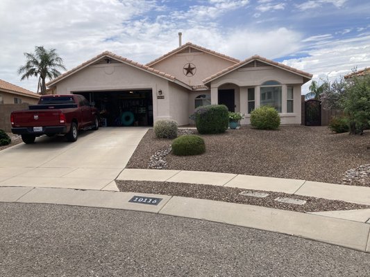 TREE MONKEY TREE TRIMMING - Updated September 2024 - 51 Photos & 57 ...