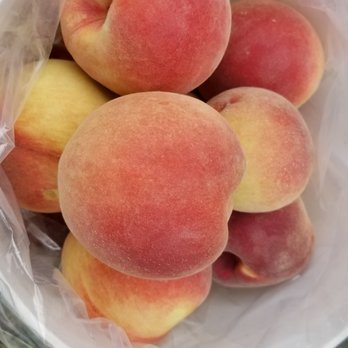 STYER ORCHARD - Updated January 2026 - 90 Photos & 60 Reviews - 97 ...