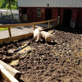 ROUND HILL PARK - Updated October 2025 - 232 Photos & 24 Reviews - 651 ...