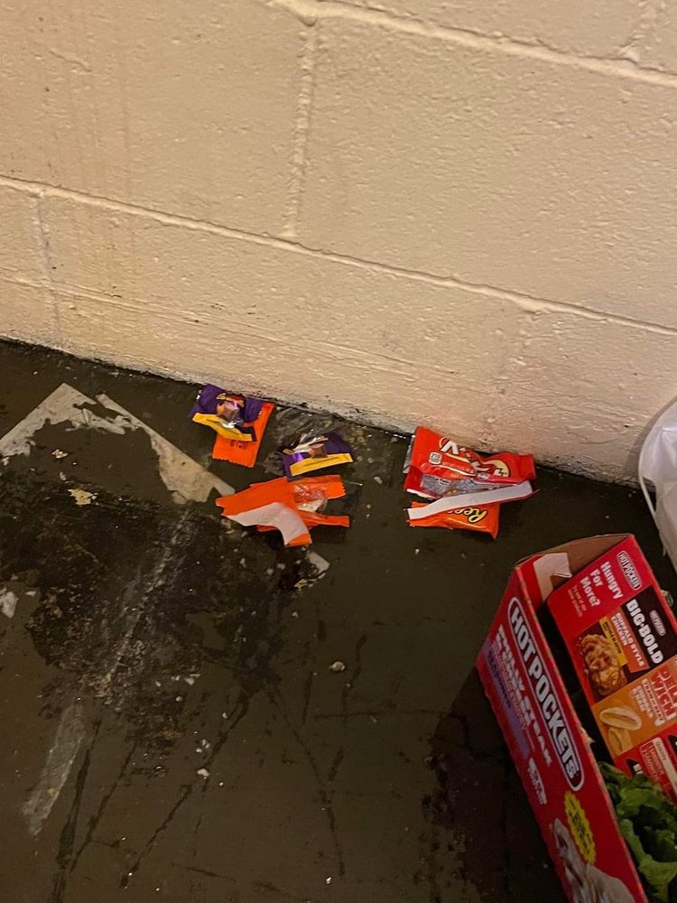 PORTLAND PENSIONE - 26 Photos & 47 Reviews - 109 NE San Rafael St ...