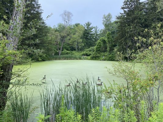 GENESEE COUNTY PARK - 12 Photos - 5345 Raymond Rd, Wyoming, New York ...