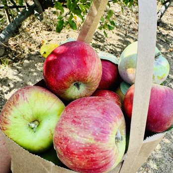 VOLCAN VALLEY APPLE FARM - Updated December 2025 - 260 Photos & 138 ...