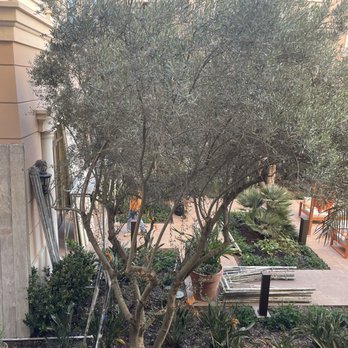 PROMENADE AT IRVINE SPECTRUM - Updated December 2025 - 144 Photos & 207 ...