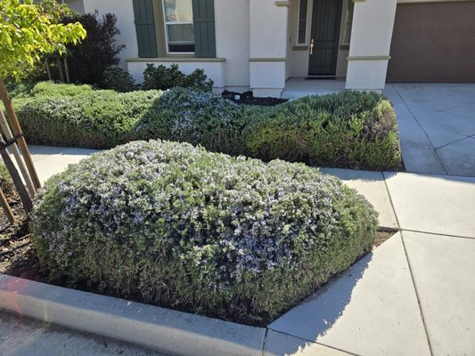 RIGHT WAY CURB APPEAL - Updated May 2026 - 130 Photos & 10 Reviews - PO ...