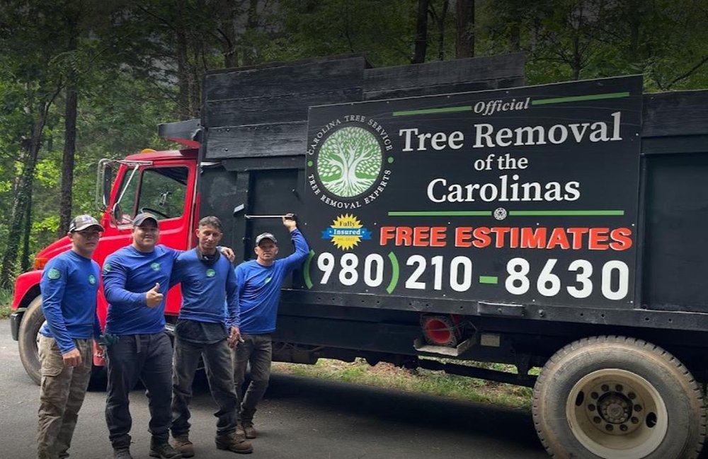CAROLINA TREE SERVICE - Updated October 2025 - 12 Photos - Monroe ...