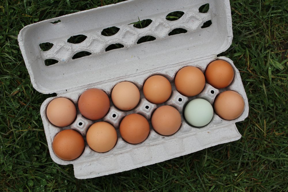 BACKLANDER FARMS - 3970 Marys Peak Rd, Blodgett, Oregon - Ranches ...