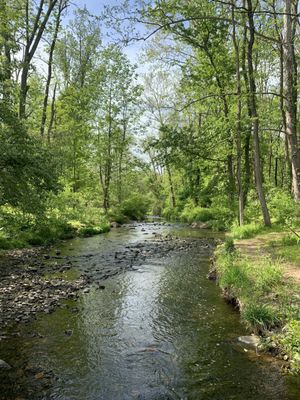 NEWLIN GRIST MILL - Updated May 2024 - 36 Photos & 11 Reviews - 219 ...
