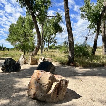 MCCABE MEADOWS PARK - Updated December 2025 - 46 Photos - 19700 Indian ...