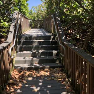 HOBE SOUND NATURE CENTER - Updated April 2025 - 38 Photos - 13640 SE ...