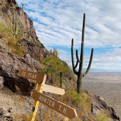 PICACHO PEAK STATE PARK - Updated May 2024 - 380 Photos & 77 Reviews ...