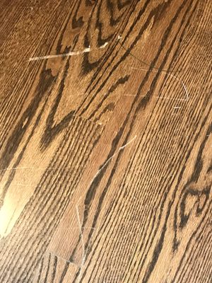 DSI LOGISTICS - Updated August 2024 - 81 Photos & 216 Reviews - 675 ...