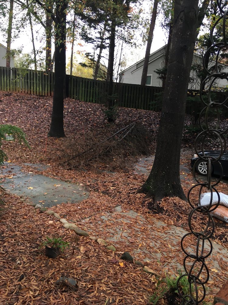 CSI PROPERTY MANAGEMENT - Updated November 2024 - 11 Reviews - 575 ...