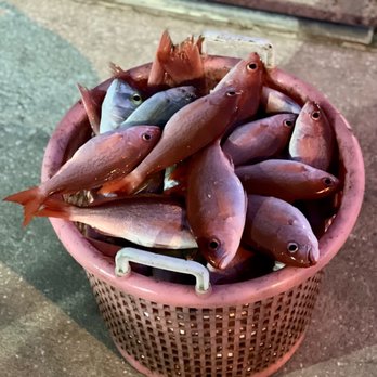 SHELL SHACK - Updated February 2025 - 72 Photos & 37 Reviews - 3800 W ...