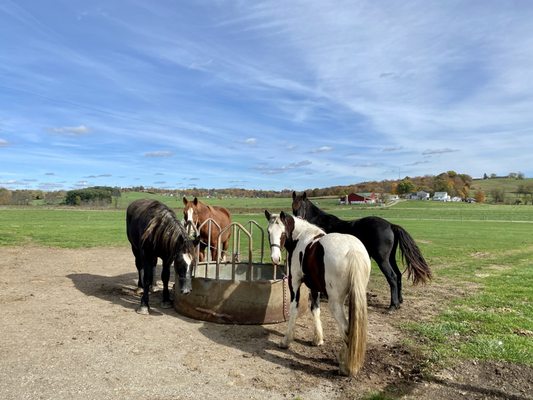 HERSHBERGER’S FARM AND BAKERY - Updated November 2025 - 187 Photos & 88 ...