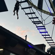 THE MALTED MONKEY - 10 Reviews - 1345 Bagnell Dam Blvd, Lake Ozark ...