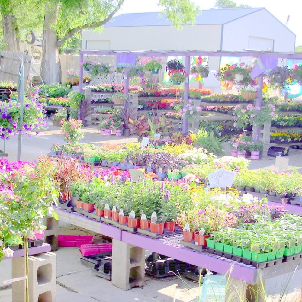 Garden Center Omaha Ne | Fasci Garden