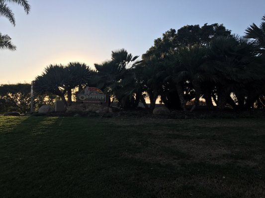 ORPHEUS NEIGHBORHOOD PARK - Updated January 2026 - 22 Photos & 12 ...