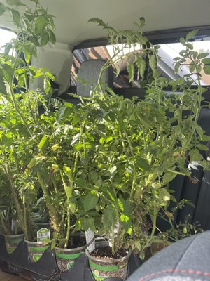 Country True Value Hardware & Rental - Serving East Greenbush, NY ...