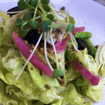 SALT & STONE - Updated May 2024 - 944 Photos & 695 Reviews - 9900 ...