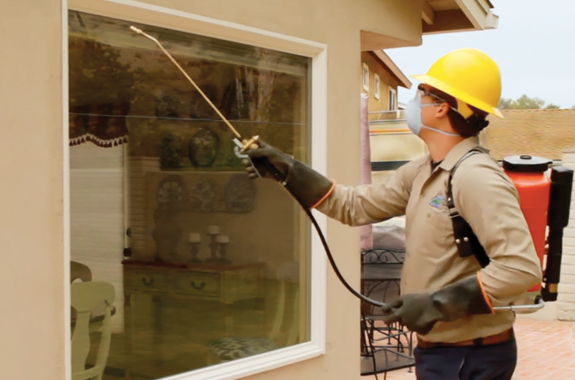 CORKY’S PEST CONTROL - Updated December 2024 - 33 Photos & 558 Reviews ...