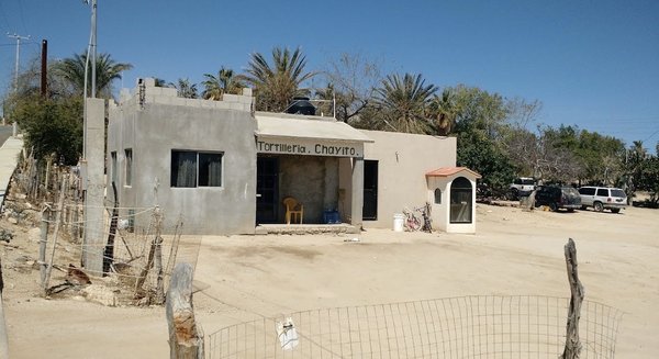 TORTILLERIA CHAYITO - Updated December 2025 - Los Barriles-Santa Teresa ...