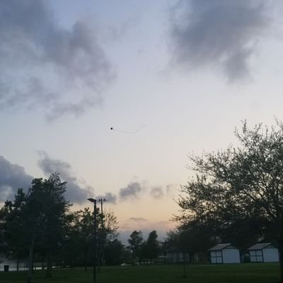 KENNER CITY PARK PAVILION - 112 Photos & 10 Reviews - 3800 Loyola Dr ...