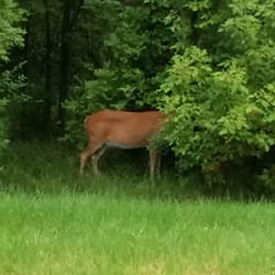 KOBACKER HOUSE-HOSPICE AT RIVERSIDE AND GRANT - 22 Photos - 800 ...