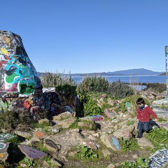 ALBANY BULB - Updated August 2024 - 955 Photos & 239 Reviews - 1 ...