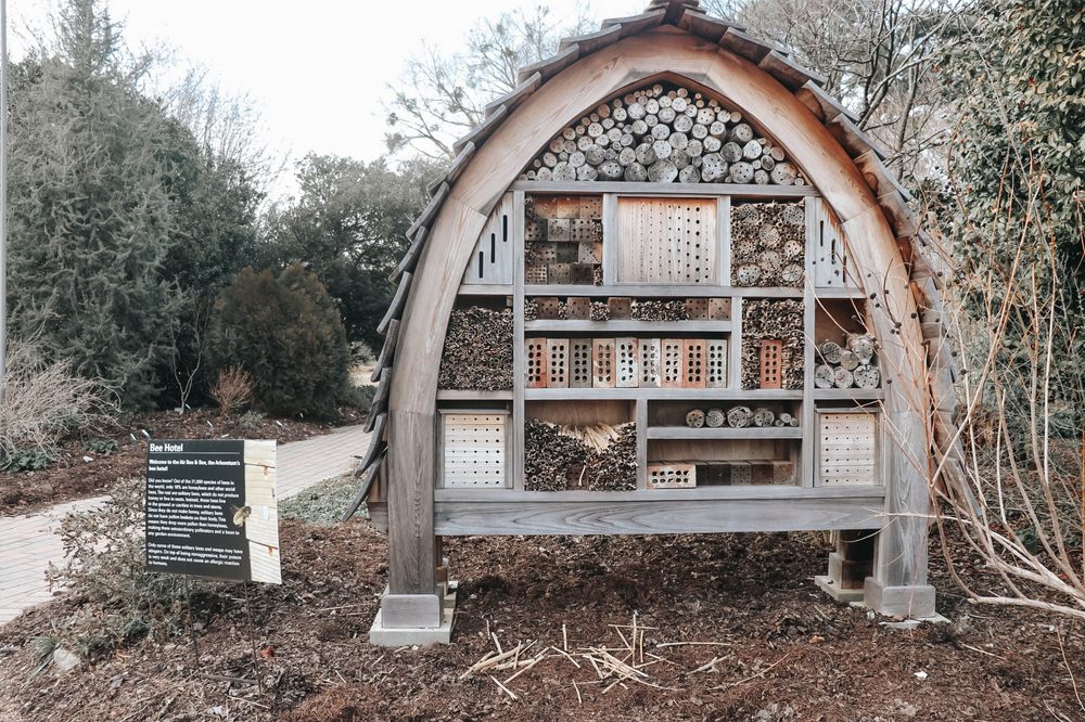 JC RAULSTON ARBORETUM - Updated June 2024 - 588 Photos & 107 Reviews ...