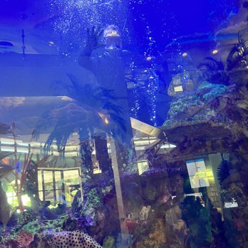 CERRITOS LIBRARY - 1248 Photos & 450 Reviews - 18025 Bloomfield Ave ...