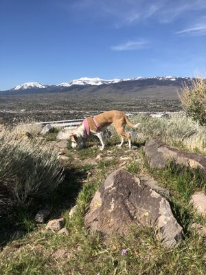 HUFFAKER PARK AND MOUNTAIN TRAIL - 139 Photos & 39 Reviews - 1160 E ...