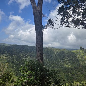 AIEA LOOP TRAIL - Updated December 2025 - 1457 Photos & 320 Reviews ...